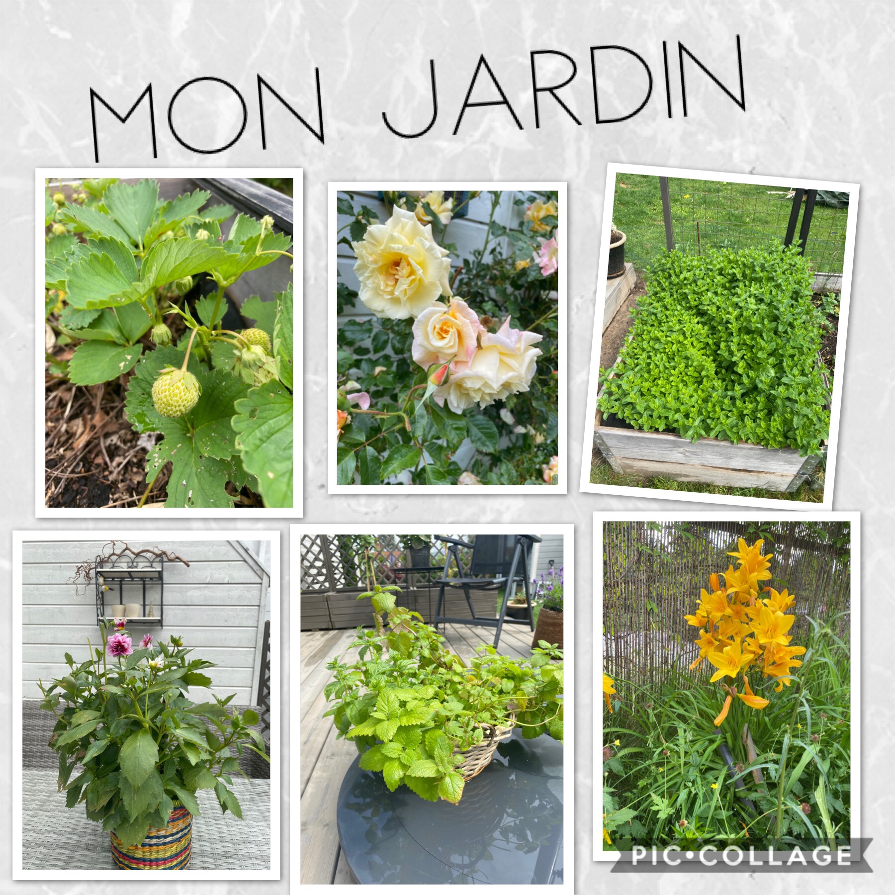 MON jardin – Lær deg fransk